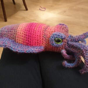 PATTERN ONLY Rainbow Cuttlefish Amigurumi Crochet - Etsy