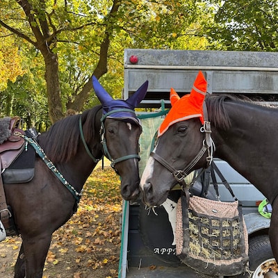 Safety Bonnet With Reflective Tape Added for Night Vision - Etsy