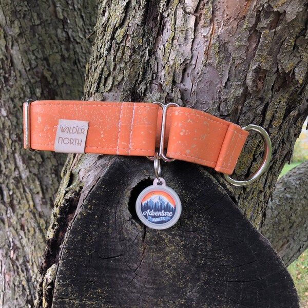 Pet ID Tag adventure Awaits Sunrise Mountain Adventure Badge Dog Tag ...