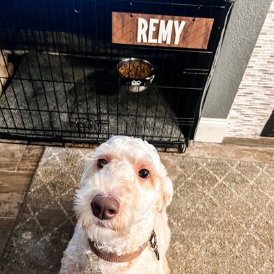 The Dog is Inside or Outside Reminder Sign Dog In/out Wooden Door ...