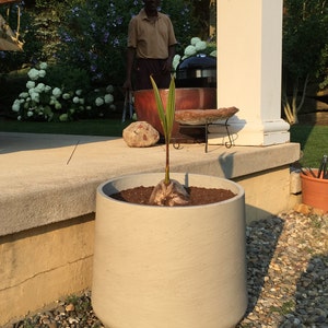 XXL Planter Extra Large Planter Concrete Pot Floor Planter | Etsy