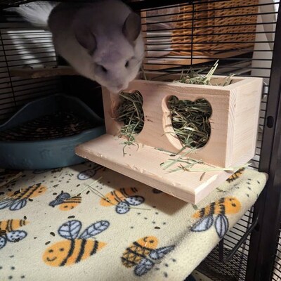 Chinchilla Hut Hideout House Free Standing House for Chinchilla Kiln ...