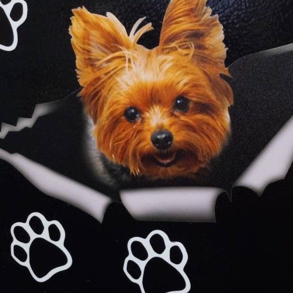 Schnauzer Car Sticker , Dog Car Decal, Schnauzer Decal, Car Decoration ...