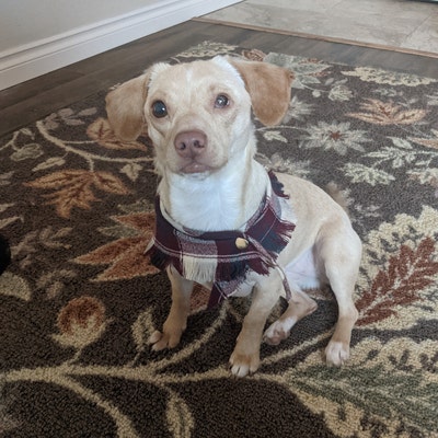 Curriculum Maps for Homeschooling Pre-k-10th Visual Lesson Planning ...