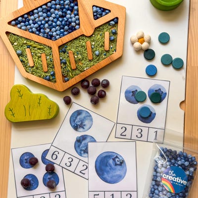 RED FOX Unit Study, Life Cycle, Anatomy, Nature Study, Science ...