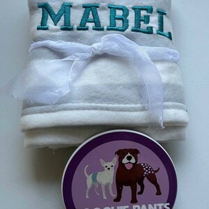 Dog Hygiene Knickers / Dog Season Pants Handmade by Me MADE TO ORDER by ...