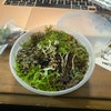 Swans-neck Thyme Moss Mnium Hornum Terrarium Moss - Etsy