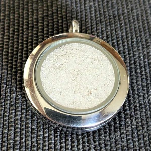 Stainless Steel Silver Plain Necklace for Cruise Medallion Apple AirTag ...