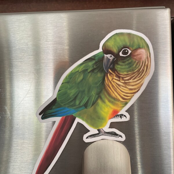 Conure Stickers / Cute Conures / GCC Green Cheek / Green Cheek Conure ...