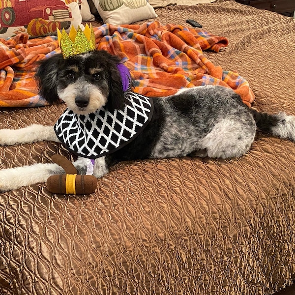 Squeaky Gavel Dog Toy - Etsy