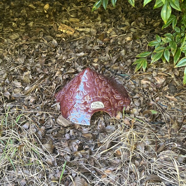 Handmade/toad Hotel/toad Inn/ Toad Home/toad Abode/toad Hut/ceramic ...