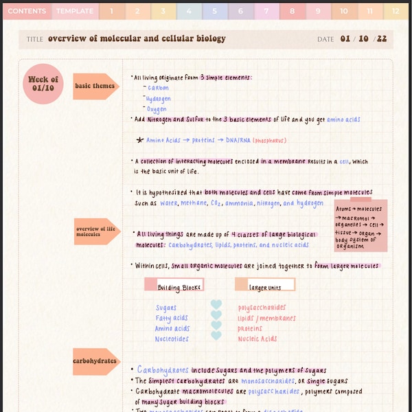 12-tab Hyperlinked Digital Notebook: Dot Grid Lined Paper (PDF) - Etsy