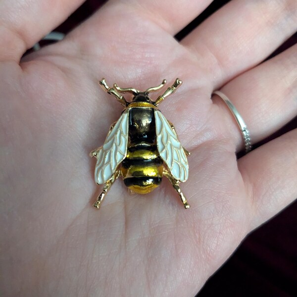 Broche de estrela de seis pontas, prata ou ouro, broche com pequenos ...