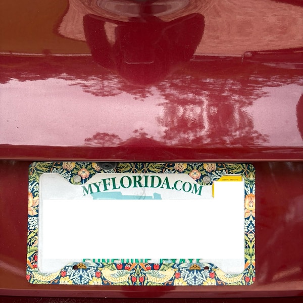 Stained Glass Floral License Plate Frame, Colorful Wildflower Womens ...