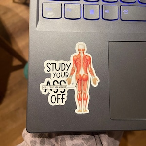 Cute Lung Anatomy Sticker, Funny Lung Anatomical Sticker, Pulmonology ...