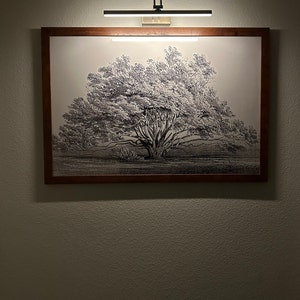 Pine Tree Branch Print, Vintage Tree Drawing Enhanced, Printable Tree ...