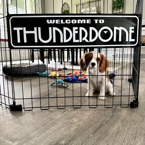 Thor Custom License Plate - Etsy