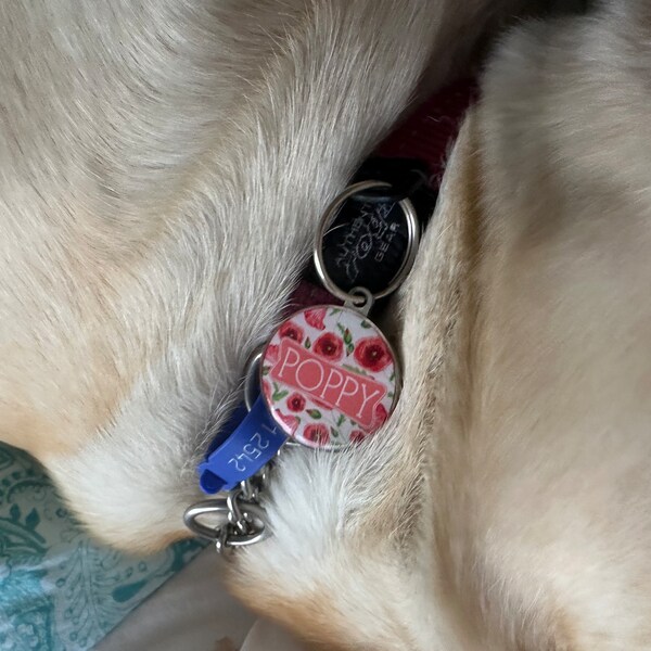 Poppy Dog Tag, Flower Pet Tag, Dog Name Tag | Personalised Pet Tag - Etsy