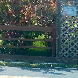 Copperhead Road Rustic Looking Aluminum Sign Color Imprint on Rustproof ...