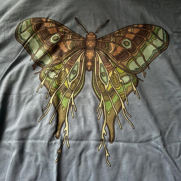 SWAMP BROTH PIN Lily Pad Toad Pin, Frog Juice Box, Unique Frogcore Gift ...