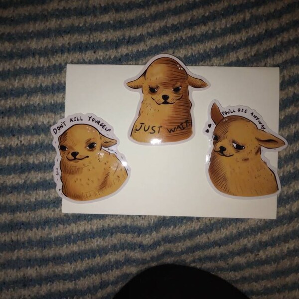 Huh? Cat Sticker I Cat Lover | Cat Stationery | Cute Stickers | Laptop ...