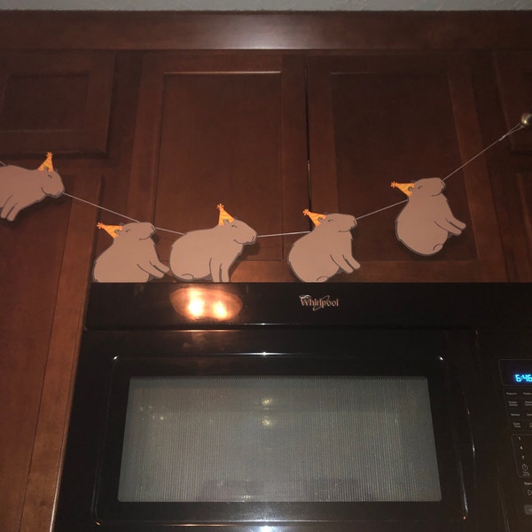Capybara Happy Birthday Banner - Etsy
