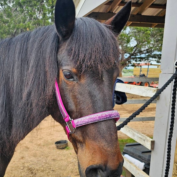 Custom Horse Halters Glitter, Diamonds, Sparkle, Designer - Etsy