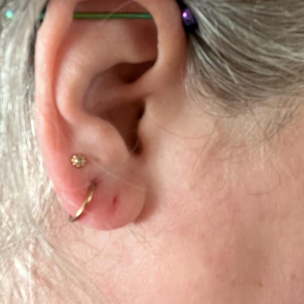 Titanium Leaf Ear Cuffs Nature Jewelry Cuff Earrings for Her Women Ear ...