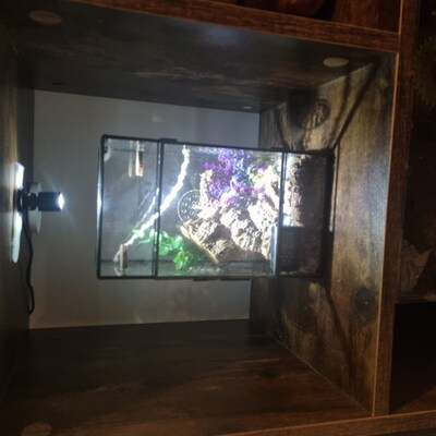 NCYP Handmade Rustic Natural Sanderwood Rope Driftwood Celing - Etsy