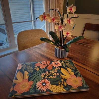 Highland Cow Laptop Skin, Laptop Cover, Laptop Skins, Removable Laptop ...