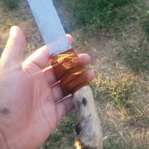 Freeze Dried Yak Feet for One Taxidermy Yak, Deer Antlers, Taxidermy ...