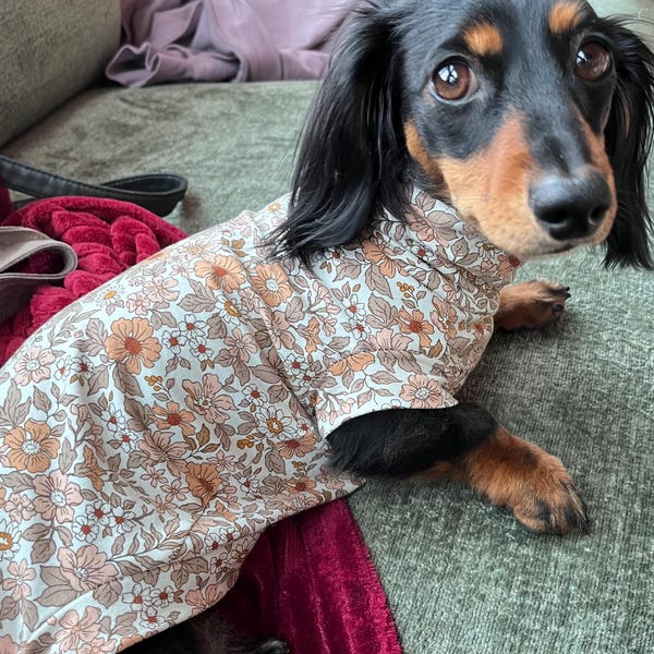 Lana Floral Dachshund/small Breed Jersey Tankie - Etsy