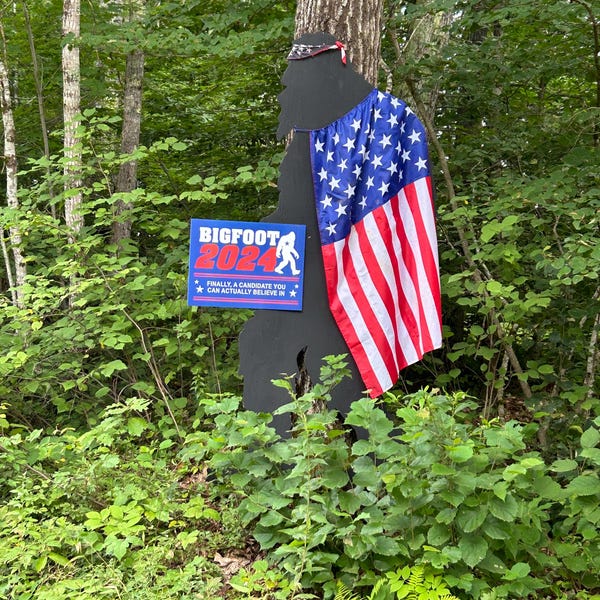 Macho Man Randy Savage Vinyl Wall Banner - Etsy