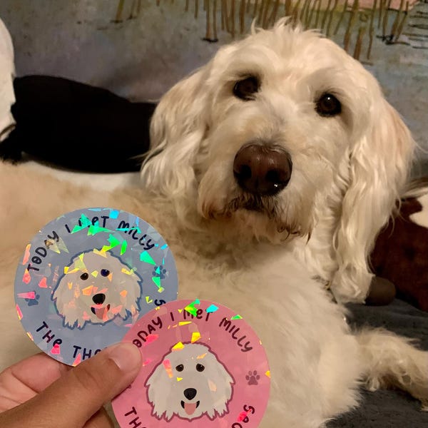 Stickers - Assistance Animals Save Lives - Personalize - I Met an ...