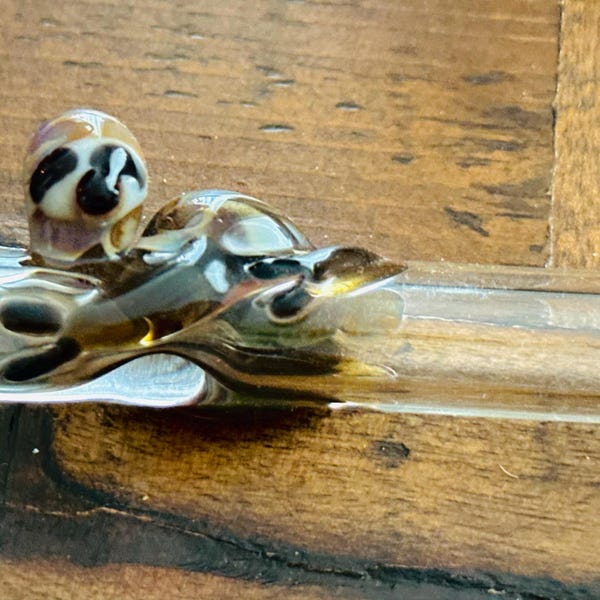 Octopus on Sea Green Pipe - Octopus Pipe | Glass Pipe | Glass Octopus ...