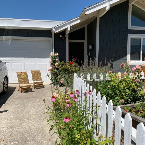 Shark Shade Premium Portable Shade Blue - Etsy