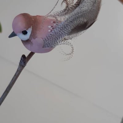 Metal Bird Legs Set of 2 Black Metal Bird Legs Duck Legs Duck Foot ...