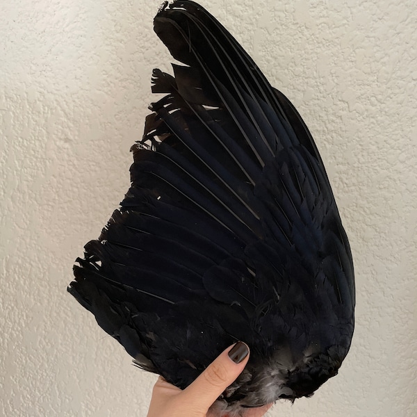 Genuine Crow Wing Smudging Fan - Etsy UK