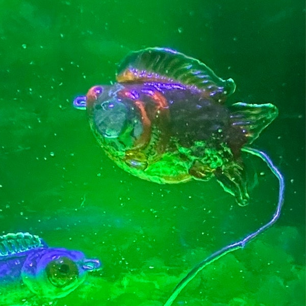 2+ Raspberry Bead Glass Red Raspberry Bead Realistic Glass Lampwork ...