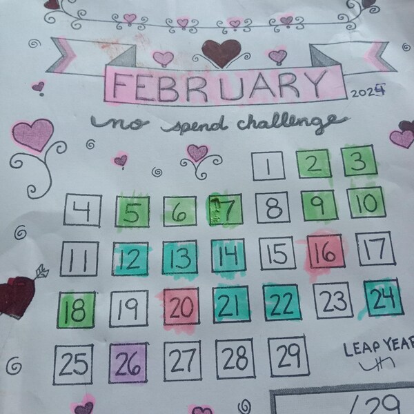 Debt Free Tracker Payoff Chart Budgeting Tool 12 Month Etsy