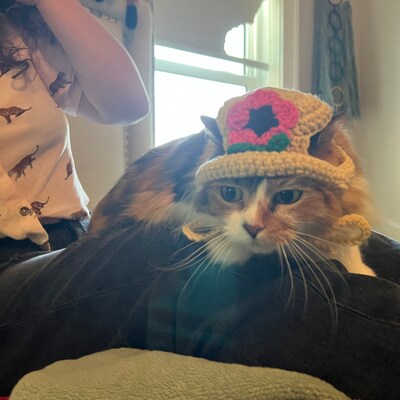 Pink Flower Summer Hat Cat Hats Cat Costumes Cat Accessories - Etsy