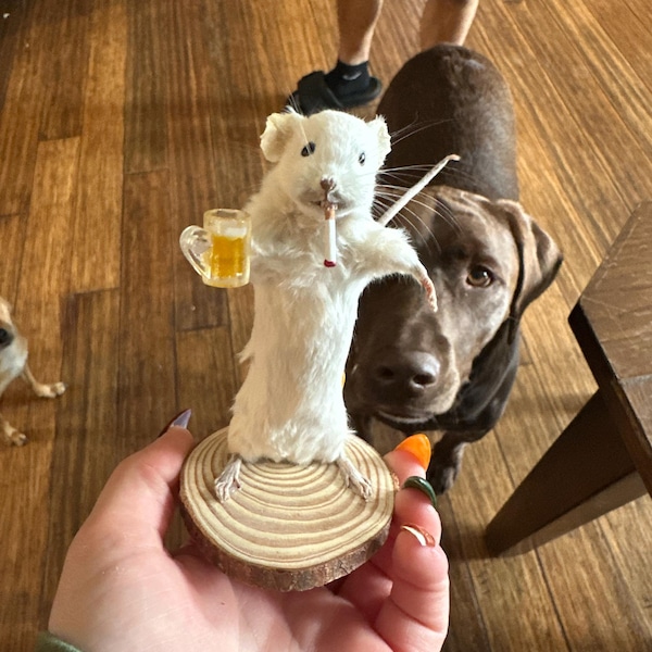 Taxidermy Smoking Drinking Beer Drunk Mouse Funny Gift for Him Her - Etsy