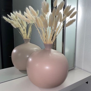 Bunny Tails White Lagurus 15g Dried Flower White Floral Arrangement ...