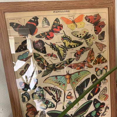 Ancient Flags of the World Poster, Vintage World Flags Art Print ...