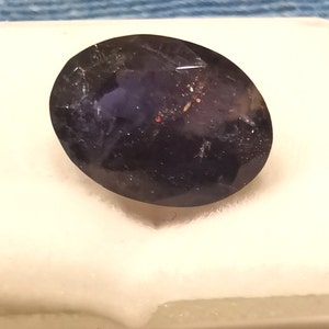 Mediterranean Sea Natural Red Coral Gemstone Reef Italian Red | Etsy