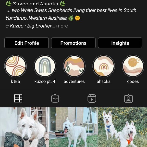 Bundle of 20 Instagram Highlights / App Icons, Plants and Rainbow ...