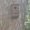 Dove Nesting Box, Large Nesting Box, Dove House - Etsy