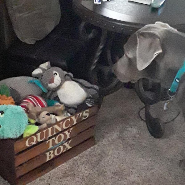 Dog Toy Box Large, Dog Toy Box, Pet Storage, Pet Organization, Pet Toy ...