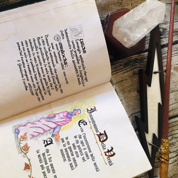 Violetta's Diary A5 Le Journal Intime De Violetta Journal El Cuarto De ...