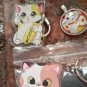 Wings of Fire Dragon 2 Inch Clear Double Sided Acrylic Keychain or ...